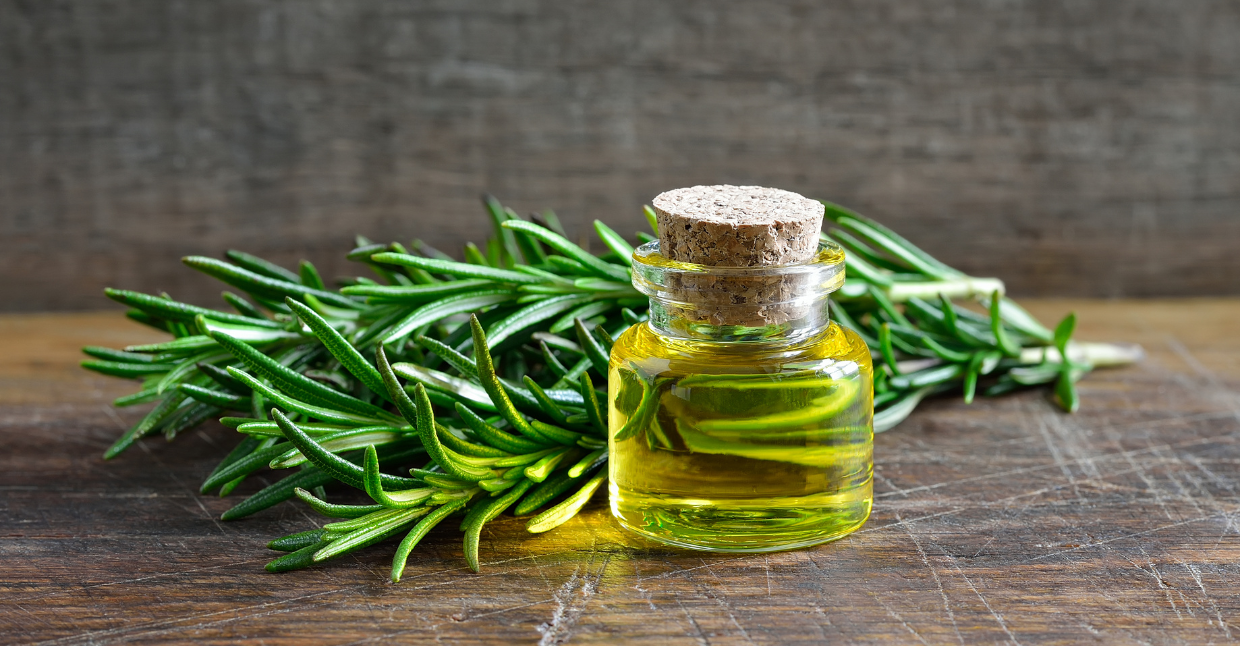How Spa Water Can Boost Your Health and Beauty: 10 Facts You Need to ...